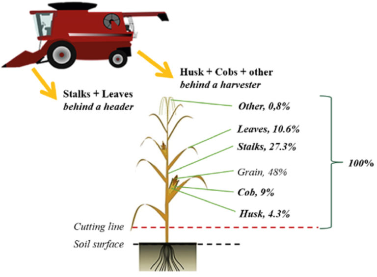Residues of grain corn production and its harvesting periods in Ukraine ...