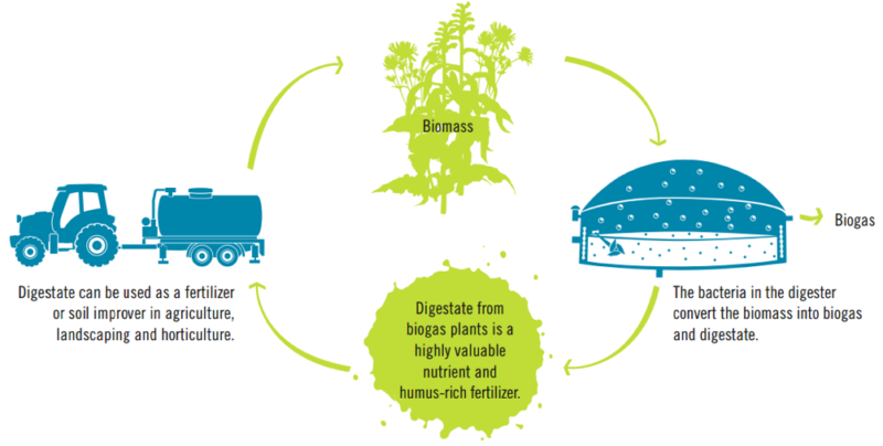 Organic fertilizers in agriculture nutritions recycling - SAF Ukraine