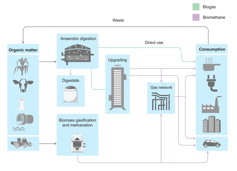 Global outlook for biogas and biomethane by IEA 2020 - SAF Ukraine
