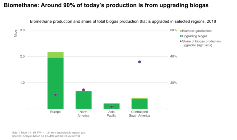 Global outlook for biogas and biomethane by IEA 2020 - SAF Ukraine