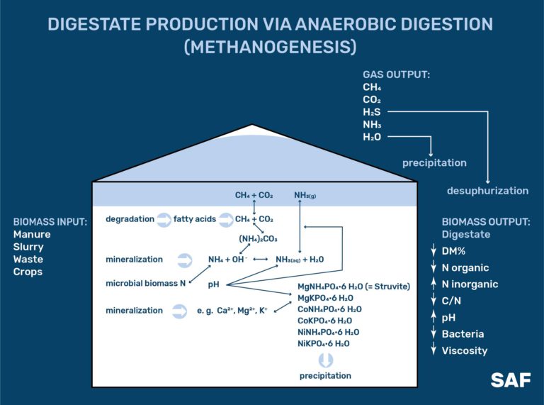 What is digestate? - SAF Ukraine